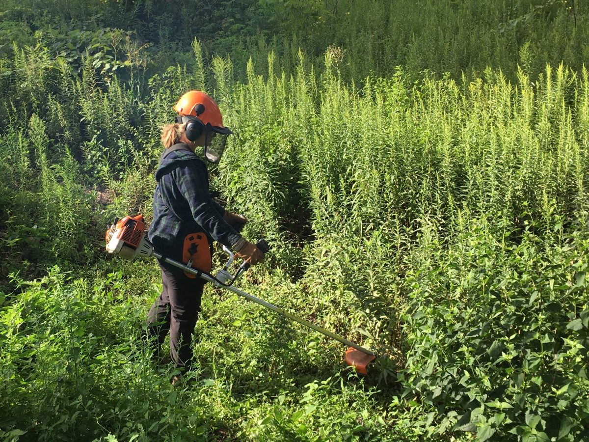 Now Hiring Student Natural Area Assistants – Apply by March 5 ...